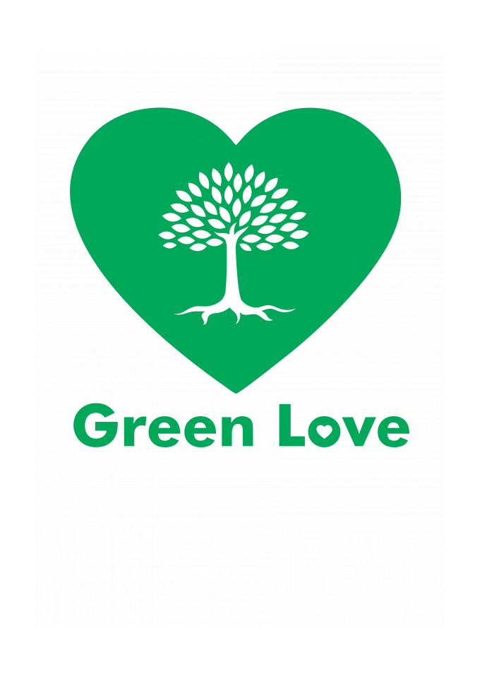 T-Shirt Estonada Amor Verde em EDY FERREIRA