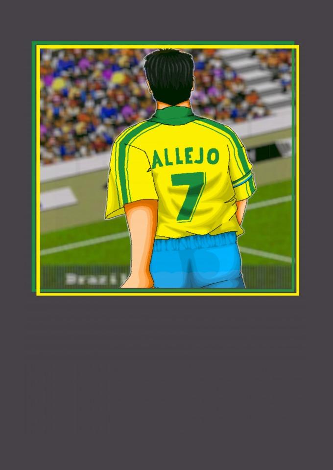 T-Shirt Estonada Camiseta Allejo Brasil em Deu Zebra FC