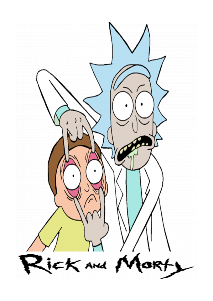 T-Shirt Prime camiseta Ricy and Morty em NaipStilo