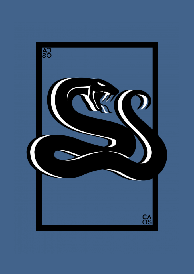 T-Shirt Estonada Snake Card em Caos
