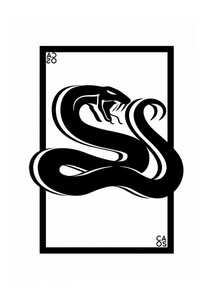 T-Shirt Estonada Snake Card em Caos