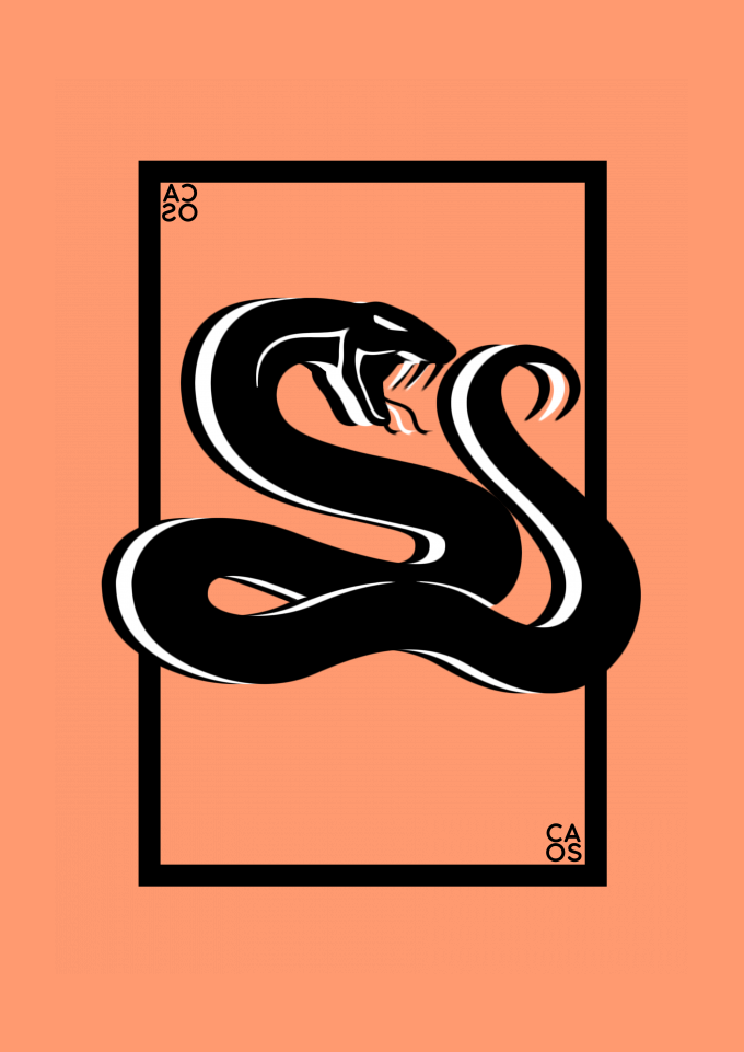 T-Shirt Estonada Snake Card em Caos