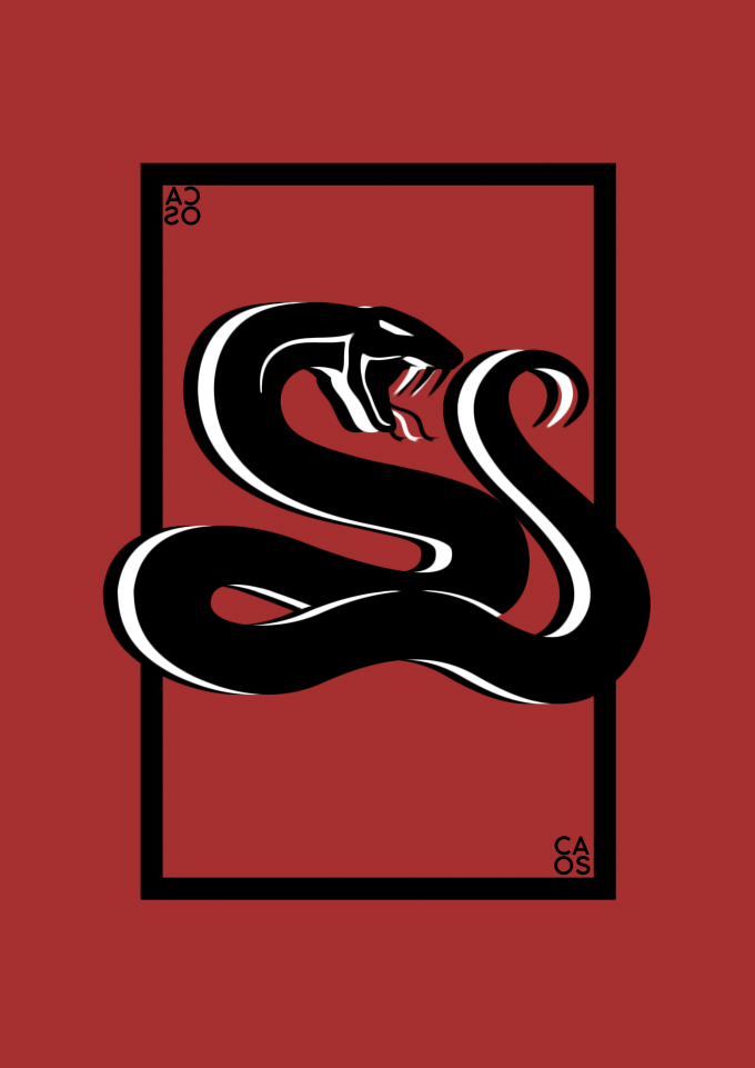 T-Shirt Estonada Snake Card em Caos